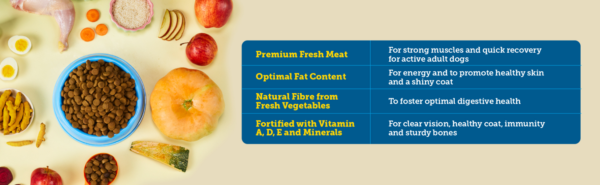 Best Protein-Rich Dog Food for Adult Dogs🐕‍🦺